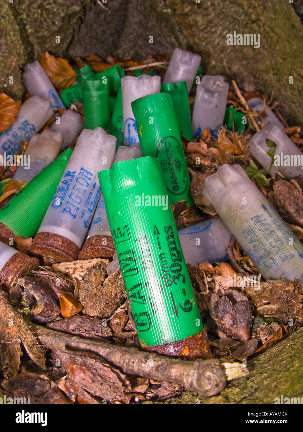 Shotgun shell casings hi-res stock photography and images - Alamy