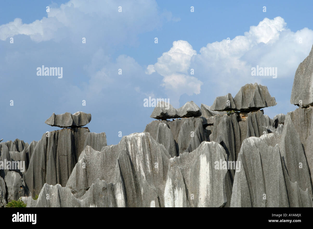 Weathered limestone peaks in Stone Forest National Geopark Yunnan ...
