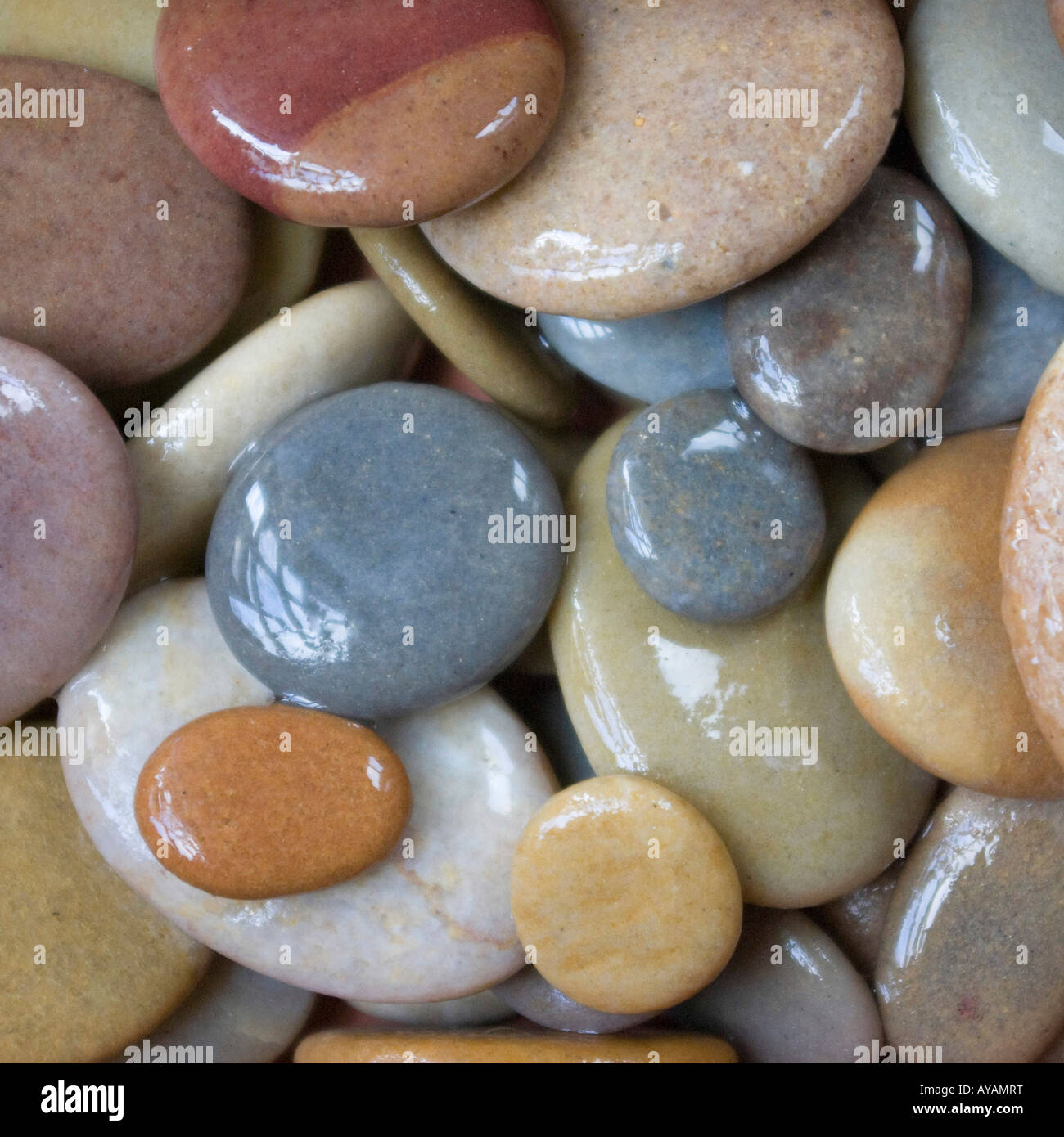 Collections of pebbles Stock Photo - Alamy