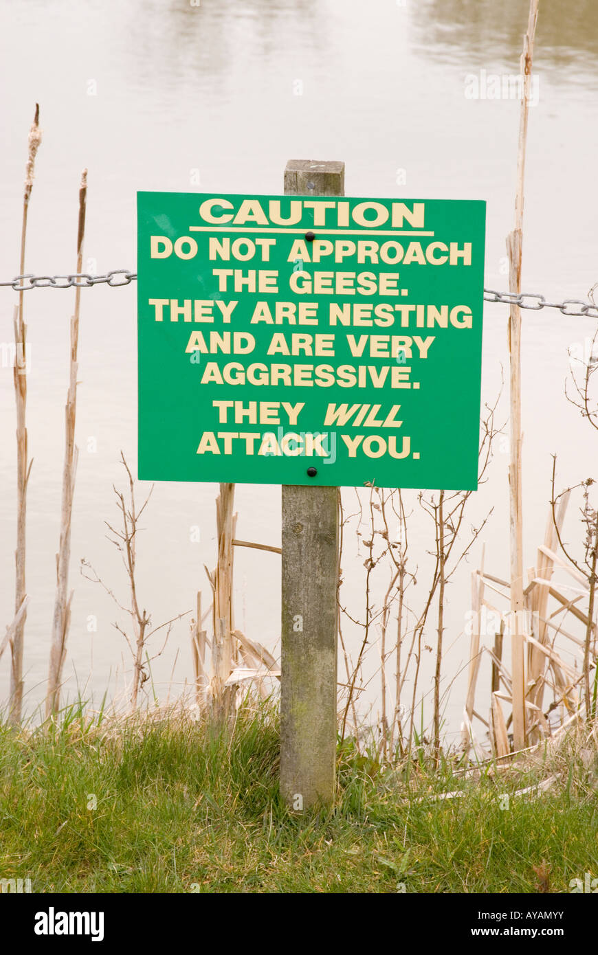 Geese Warning Sign Stock Photo - Alamy