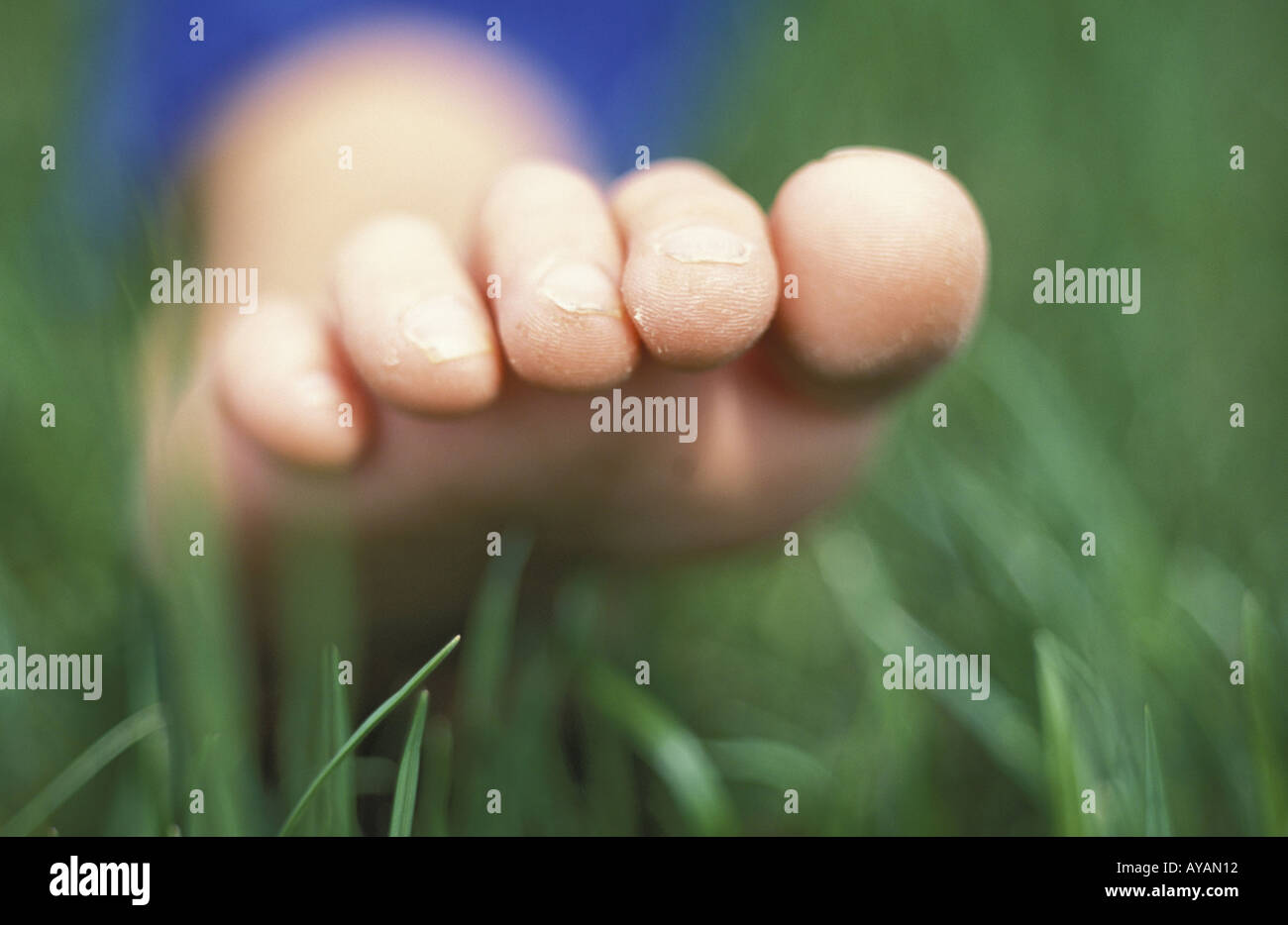 Barfuss hi-res stock photography and images - Alamy