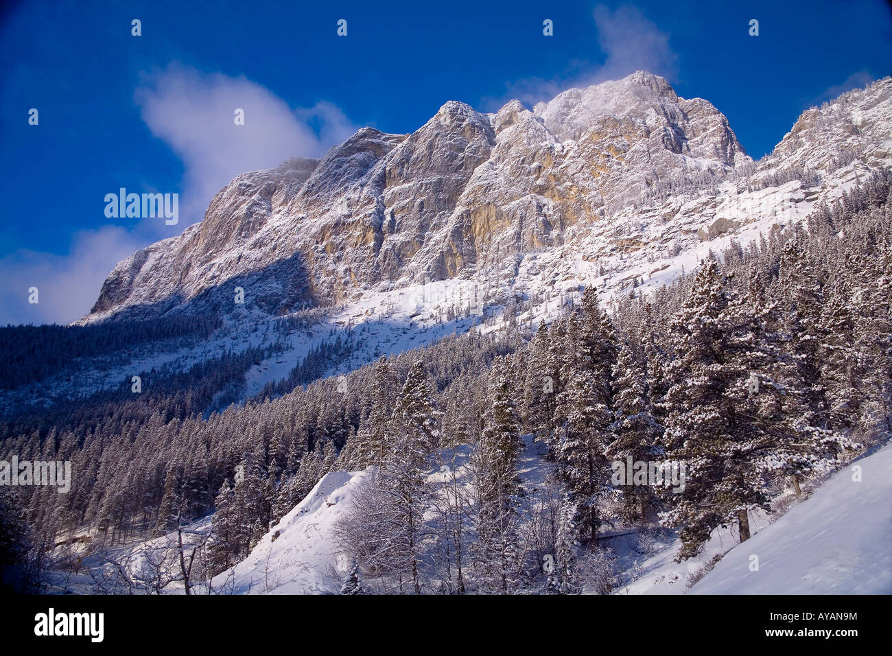 Snow in canada scene hi-res stock photography and images - Alamy