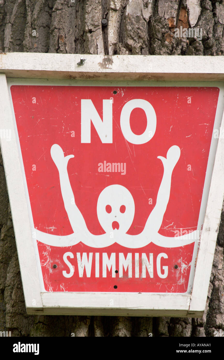 No Swimming sign nailed to tree near pond in community park United ...