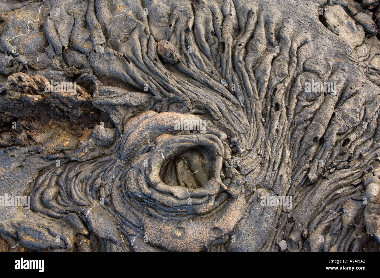 Pahoehoe lava with gas escape structures Sullivan Bay Santiago Island ...