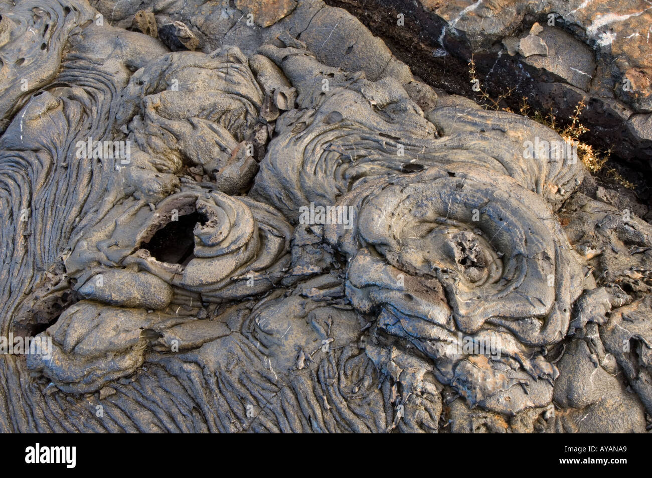 Pahoehoe lava with gas escape structures Sullivan Bay Santiago Island ...