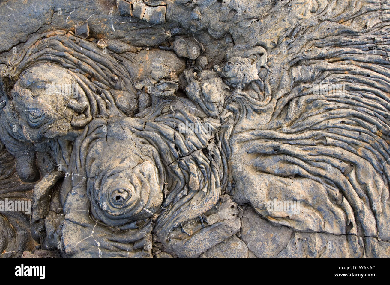 Pahoehoe lava with gas escape structures Sullivan Bay Santiago Island ...