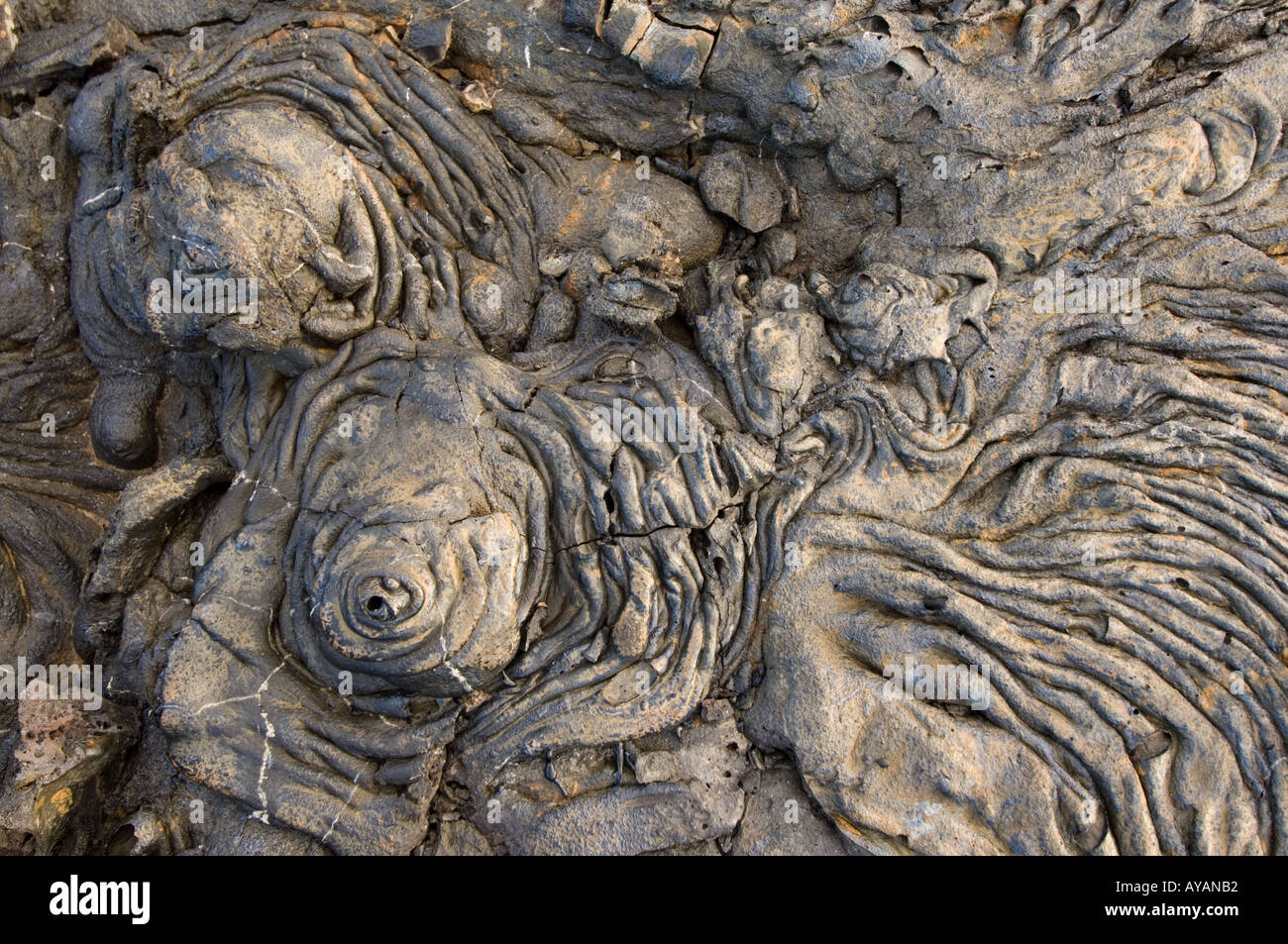 Pahoehoe lava with gas escape structures, Sullivan Bay Santiago Island ...