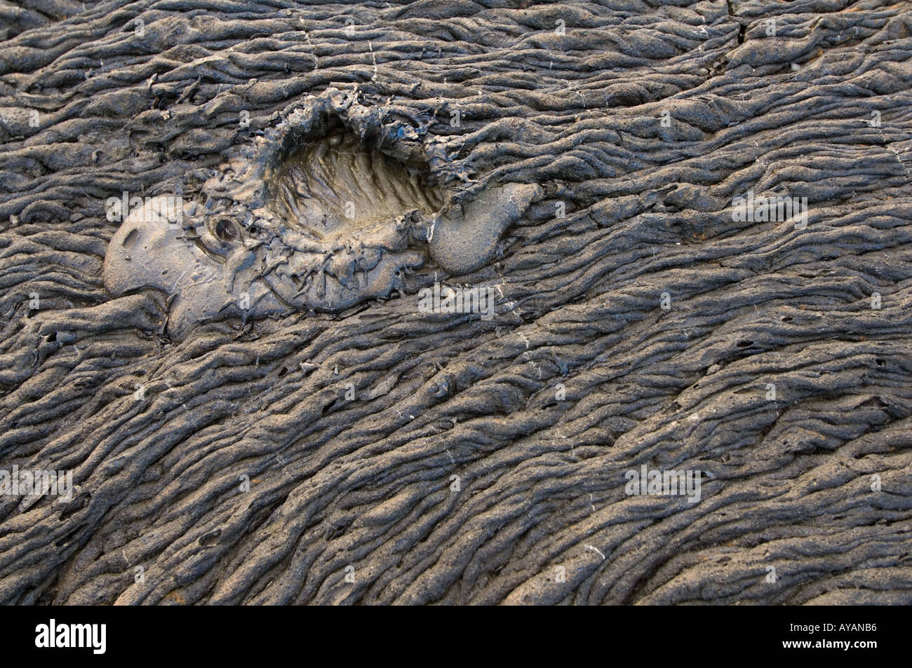 Pahoehoe lava galapagos bartolome hi-res stock photography and images ...
