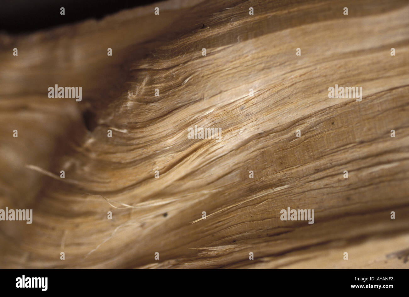 Holzstuck hi-res stock photography and images - Alamy