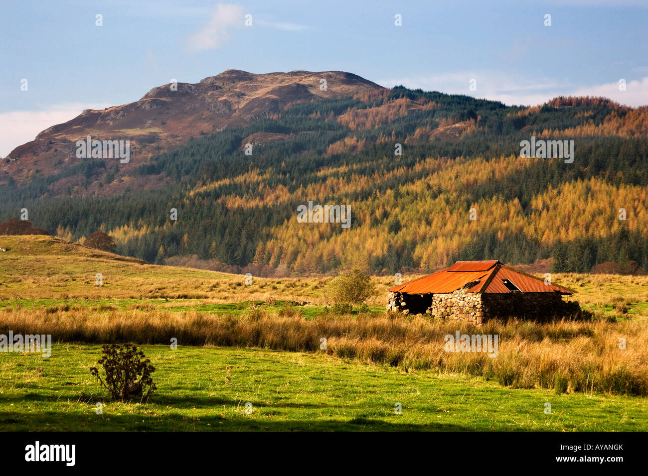 Barn in Scotland Stock Photo - Alamy