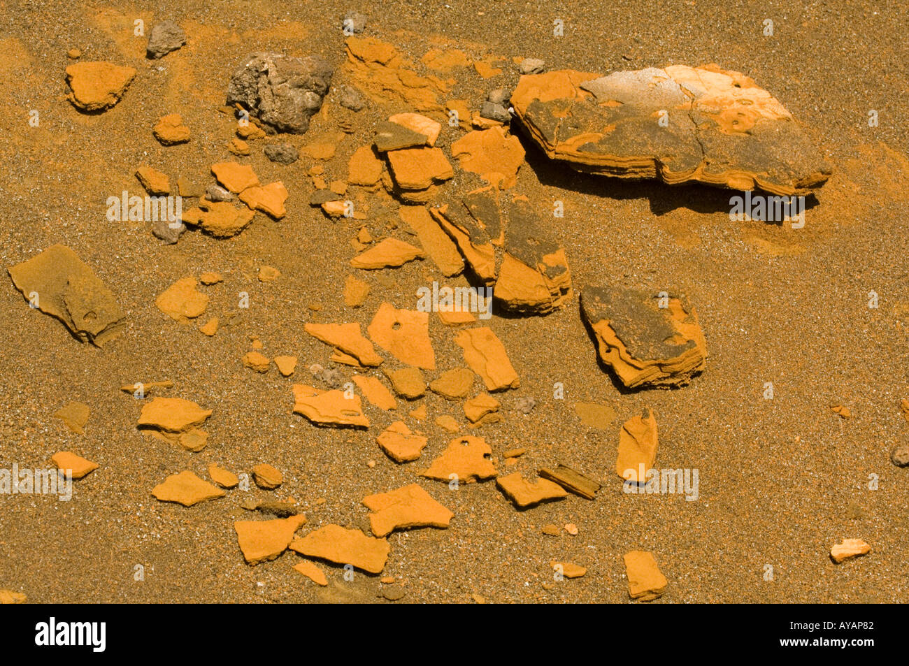 Volcanic rock fragments Bartolome Island Galapagos Ecuador Stock Photo ...