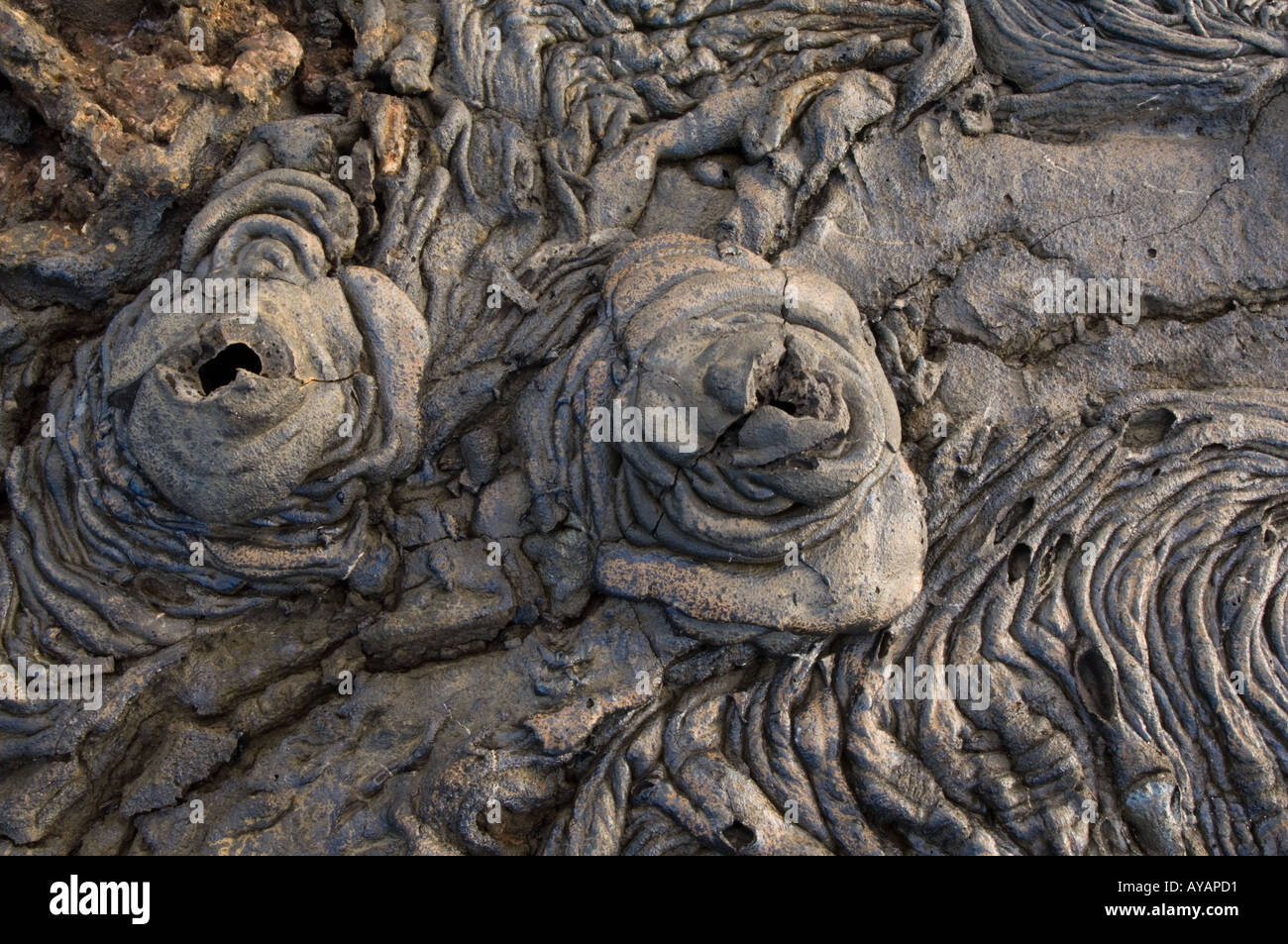Pahoehoe lava with gas escape structures, Sullivan Bay Santiago Island ...