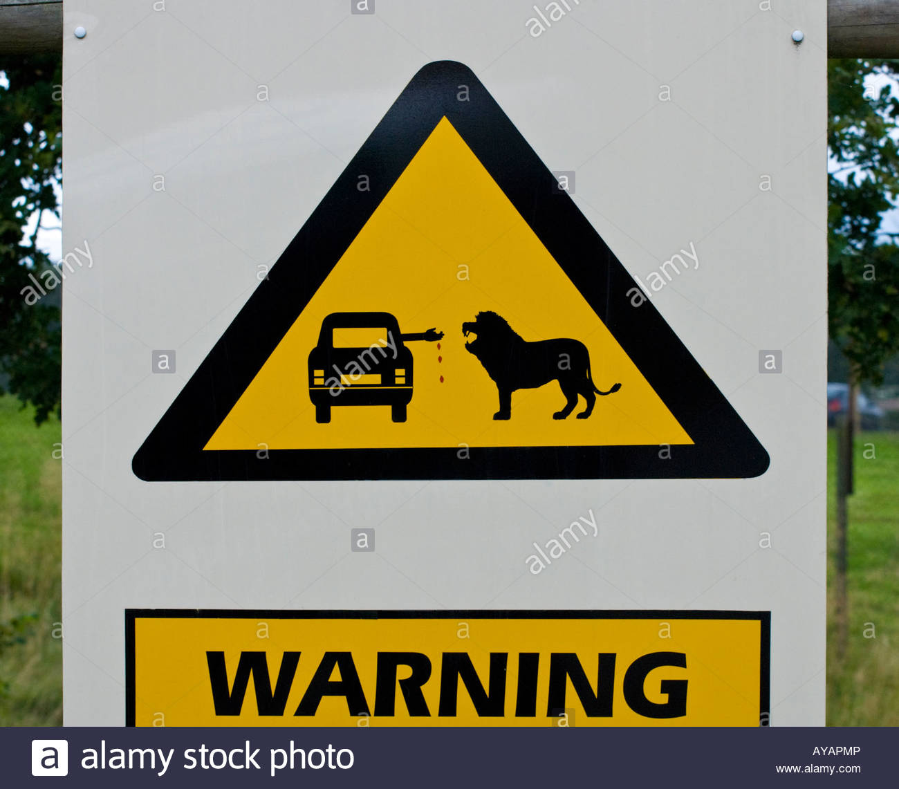 Woburn Safari Park Stock Photos & Woburn Safari Park Stock Images - Alamy