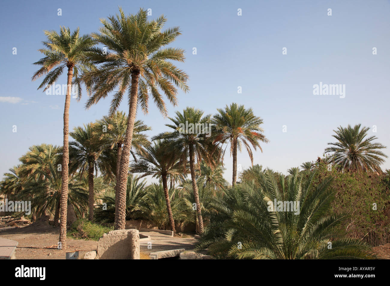 Oman Al Dakhiliyah Bahla oasis scenery Stock Photo - Alamy