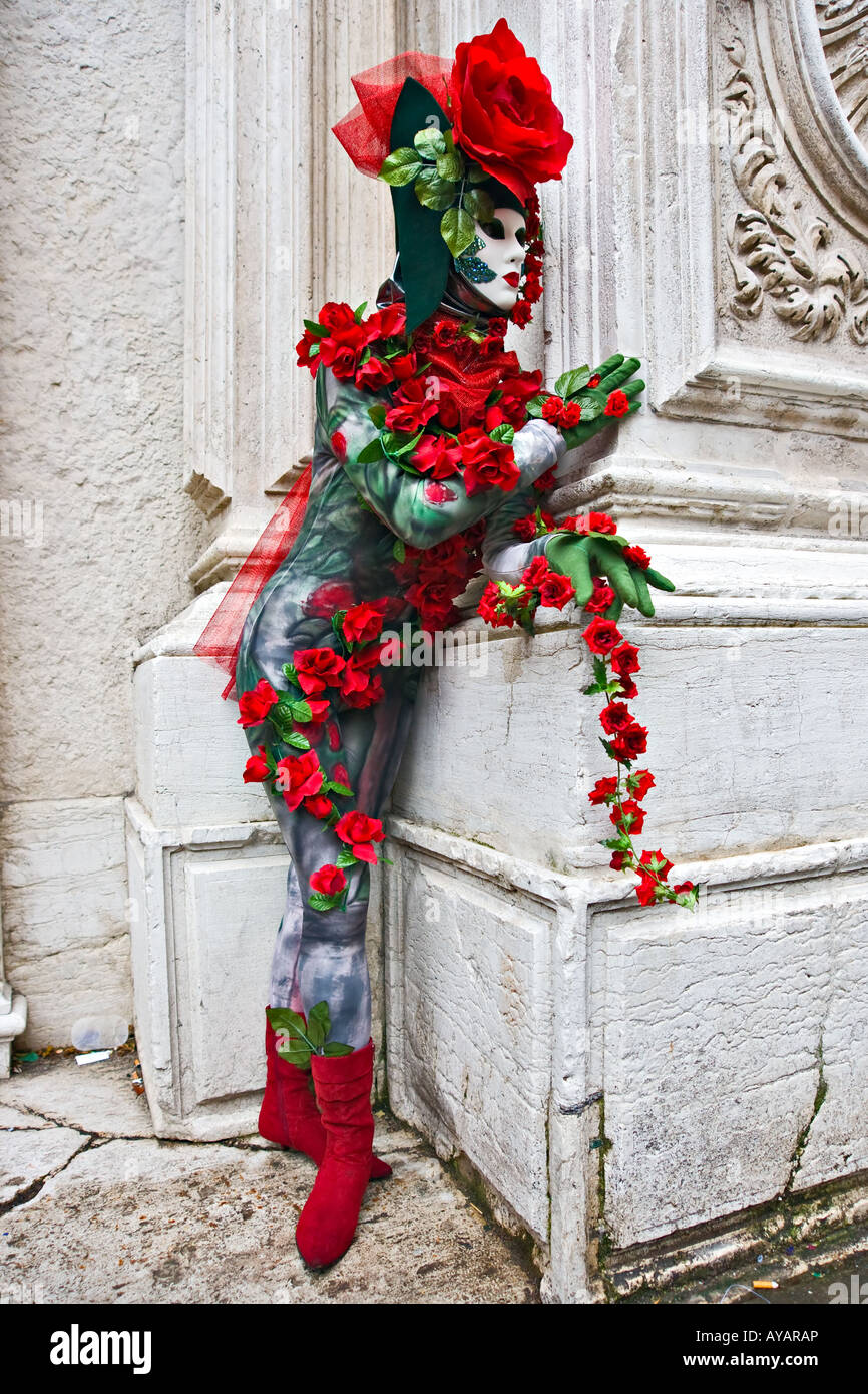 Rose masquerade flower hi-res stock photography and images - Alamy