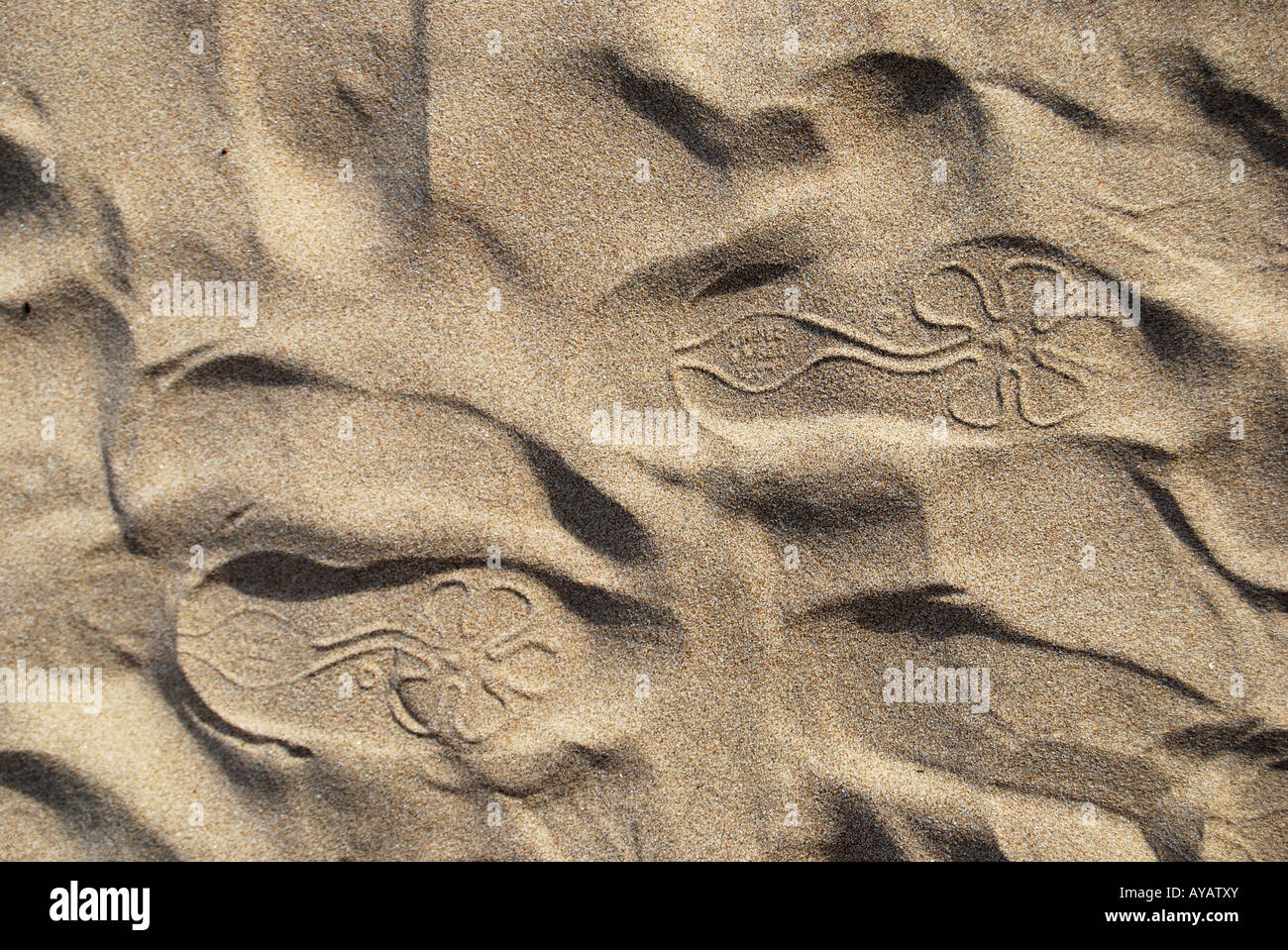 Walked on beach hi-res stock photography and images - Alamy