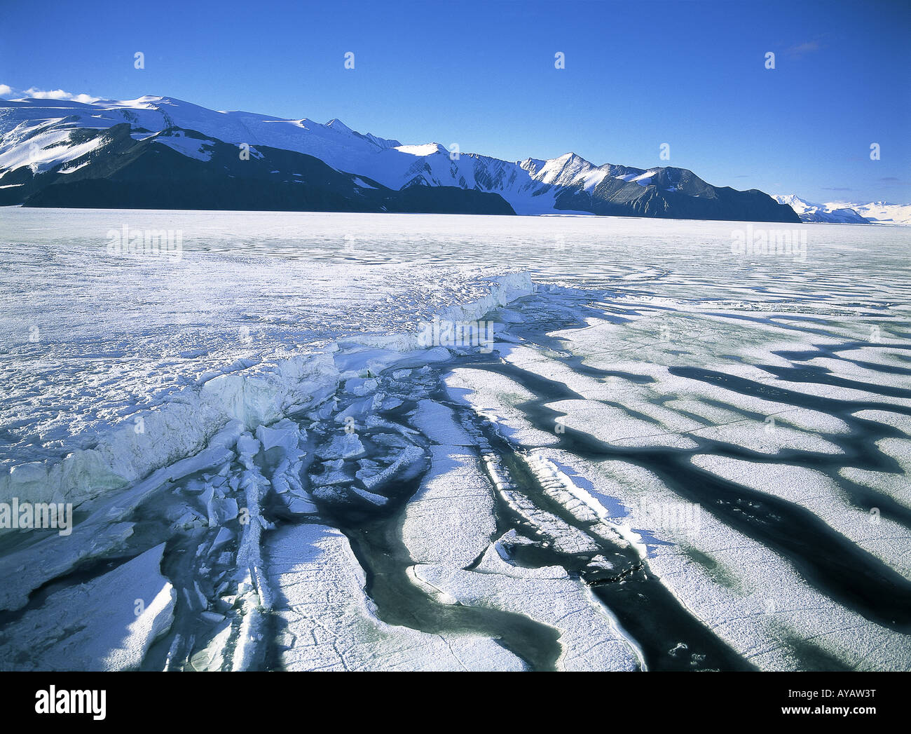 Aerial view of glacier tongue and pack ice Ross Sea Antarctica Stock ...