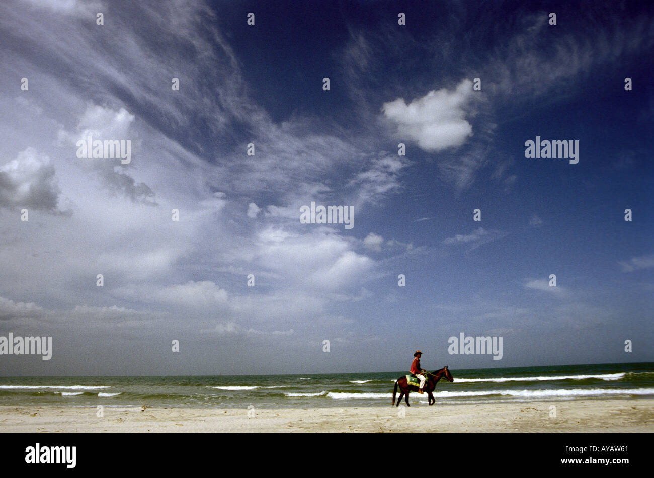 Einsamer Reiter am Strand Thailand Stock Photo - Alamy