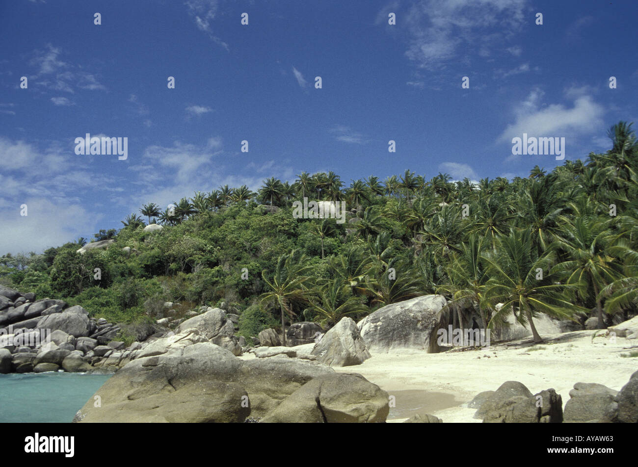 Strand mit Palmen Thailand Stock Photo - Alamy