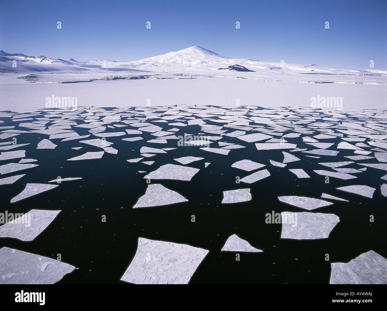 Pack Ice Ross Sea Antarctica High Resolution Stock Photography and ...