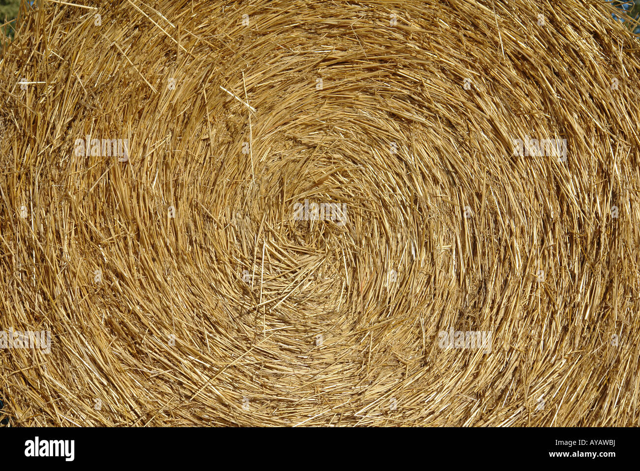 Bale of hay Stock Photo - Alamy