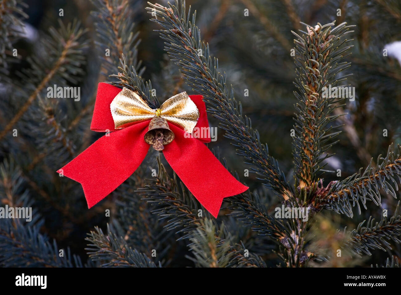 Redbow hi-res stock photography and images - Alamy