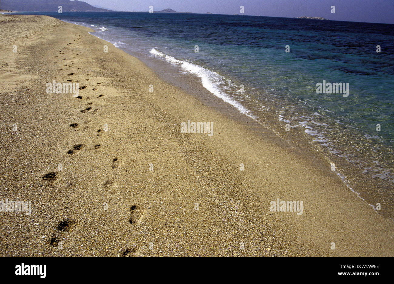 Skyline am strand hi-res stock photography and images - Alamy