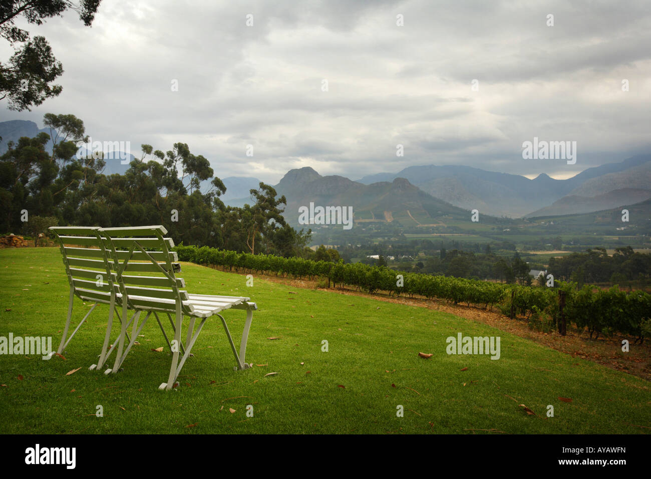 Park bench with a view Stock Photo - Alamy
