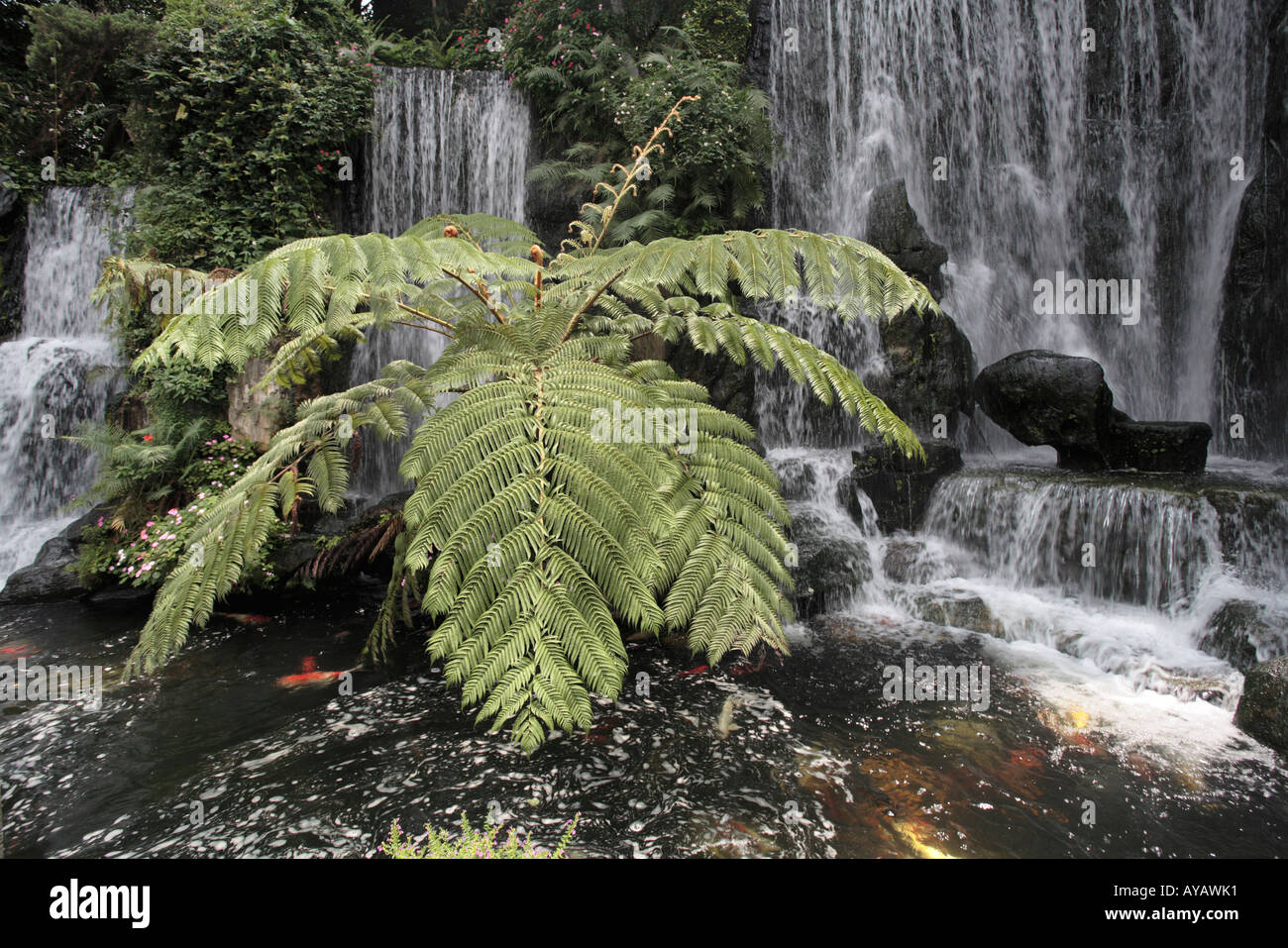 Taiwan Taipei Waterfall and gardens at Long Sham Temple Stock Photo - Alamy