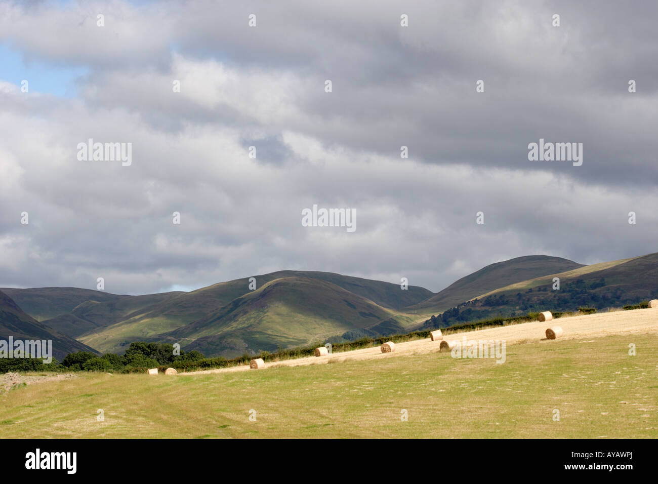 Looking northwards at harvest time towards Alva Glen in the Ochil Hills ...