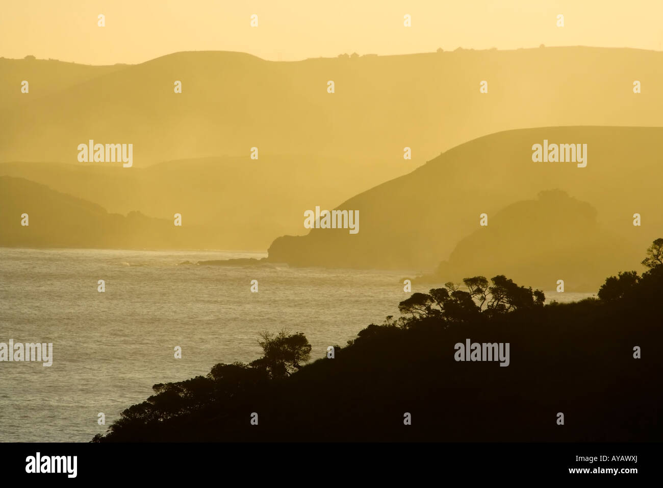 Bay forest ocean valley coastal coastline ambient seascape hi-res stock ...