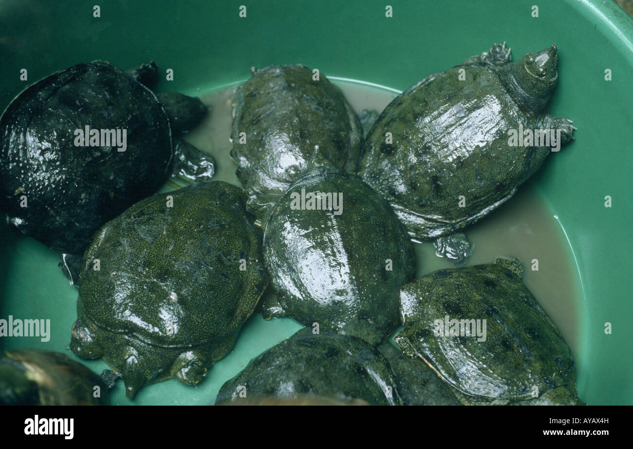 Softback hi-res stock photography and images - Alamy