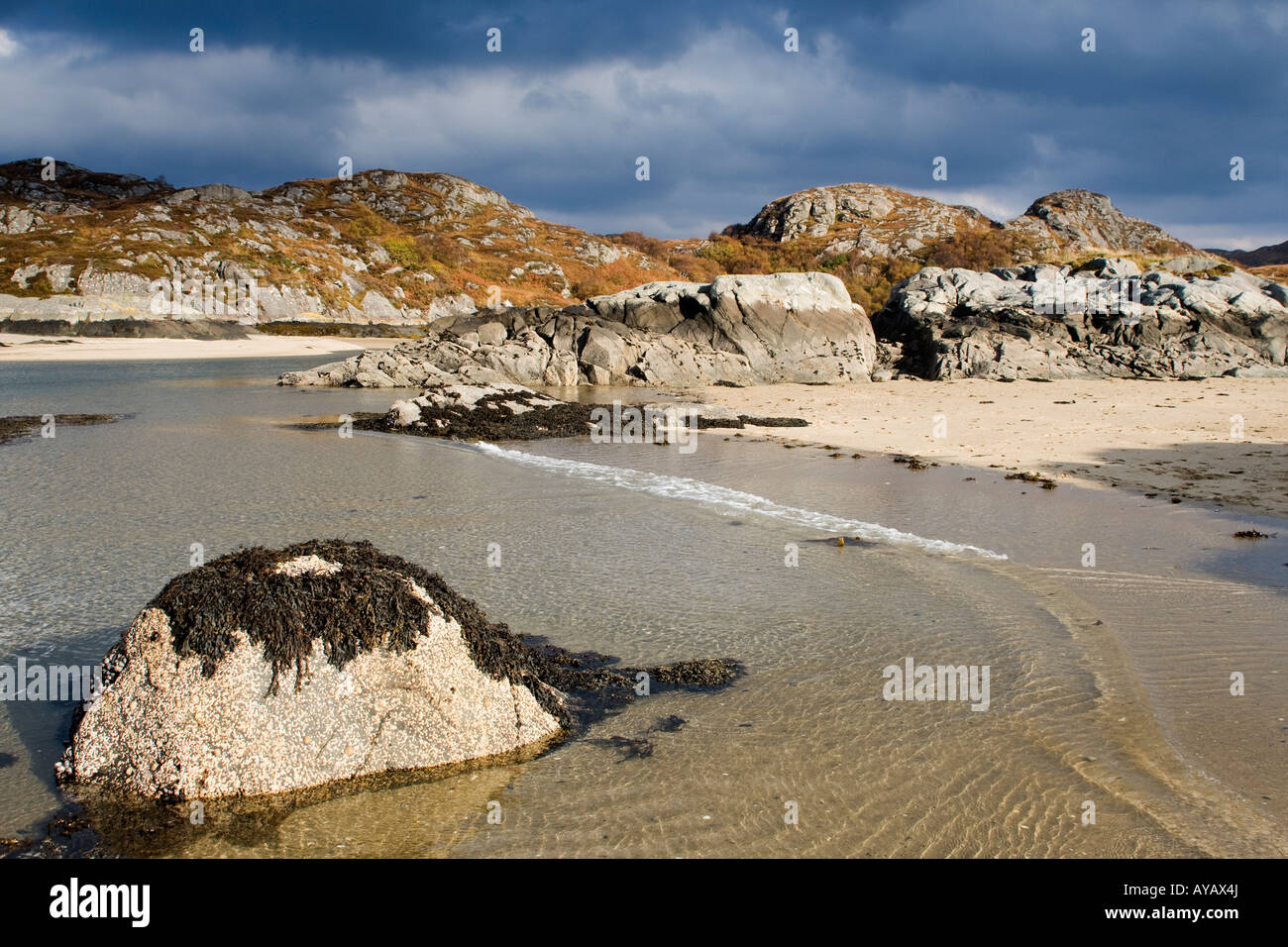 Beach in Ardtoe, Scotland Stock Photo - Alamy