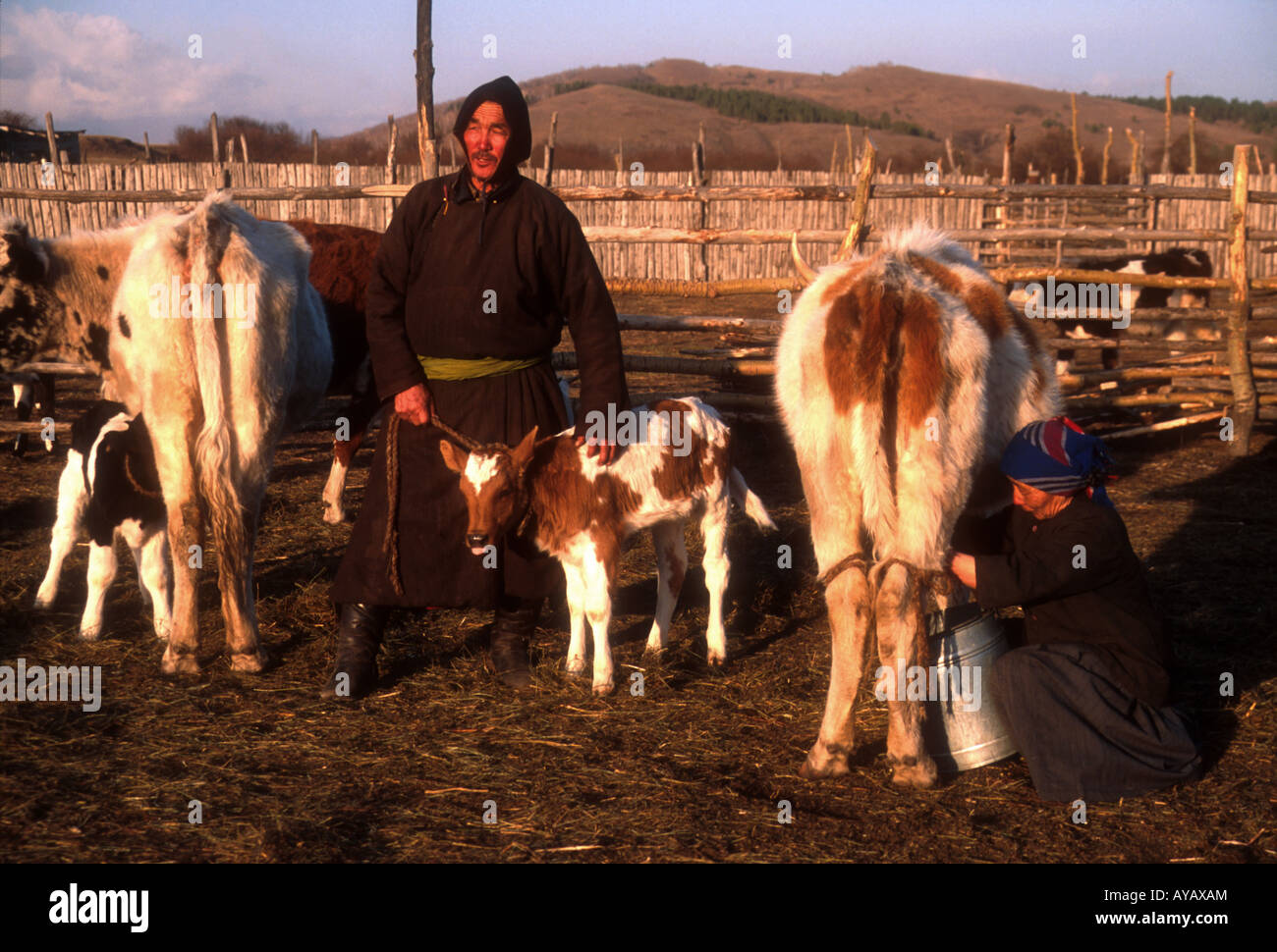 Inner Mongolian Farm High Resolution Stock Photography and Images - Alamy