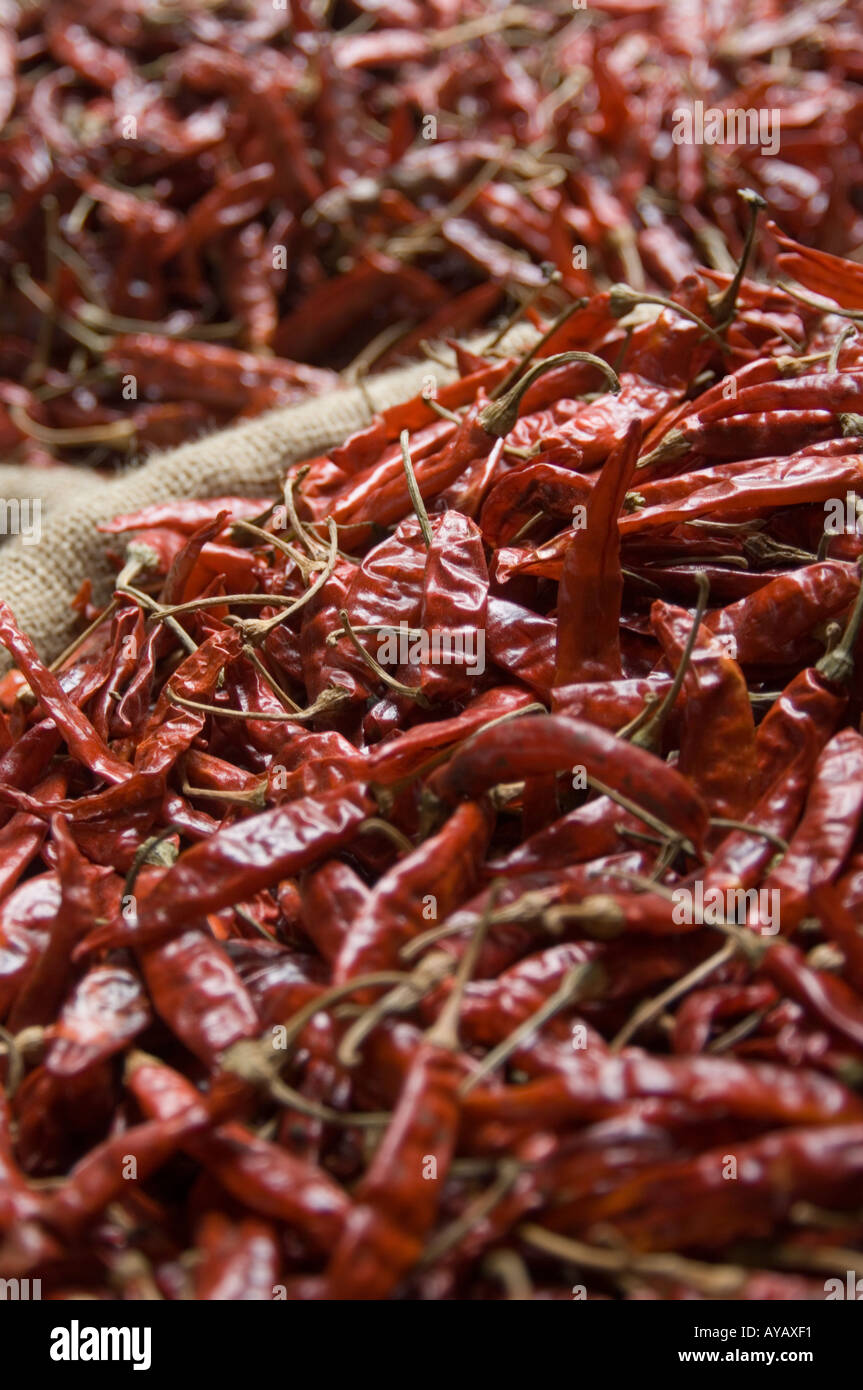 Sri lankan dried chillies hi-res stock photography and images - Alamy Sri lankan dried chillies hi-res stock photography and images - Alamy