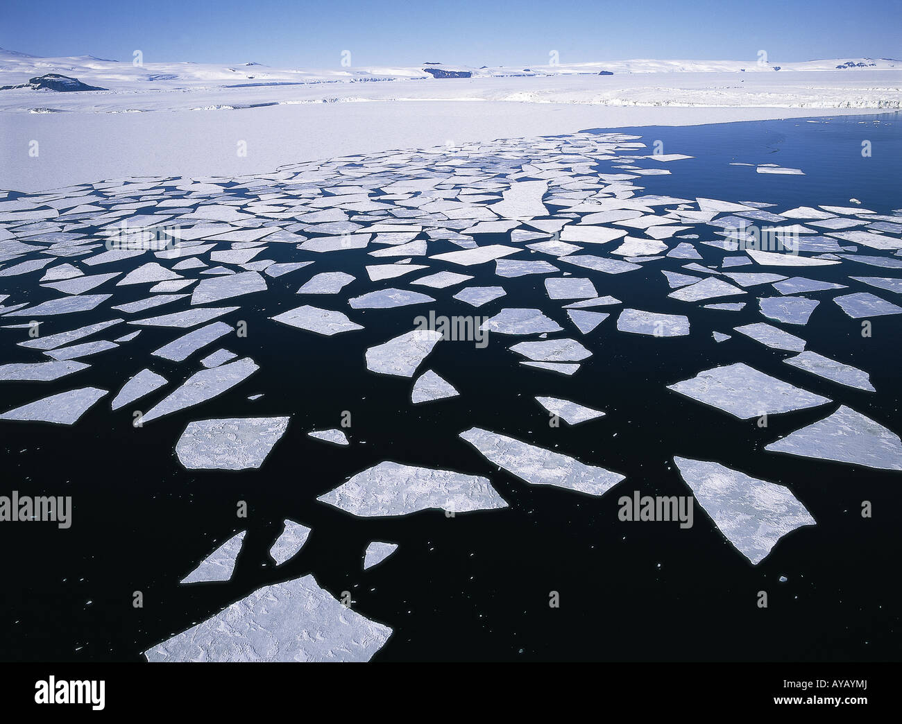 Aerial view of pack ice Ross Sea Antarctica Stock Photo - Alamy