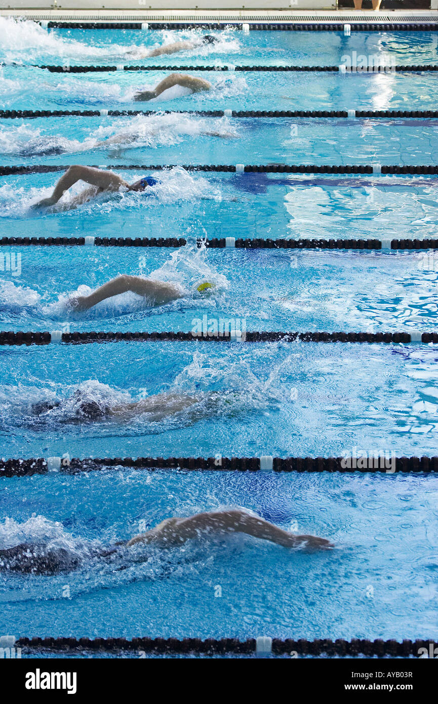 Swimming Races Moana Pool Dunedin South Island New Zealand Stock Photo ...