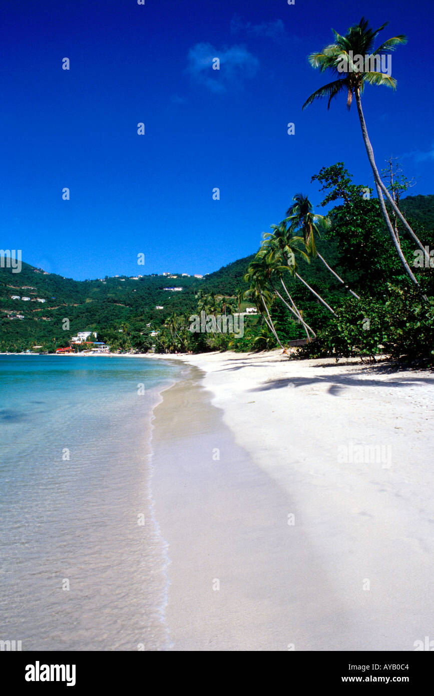 Beautiful sandy beach at Cane garden Bay Tortola Stock Photo - Alamy