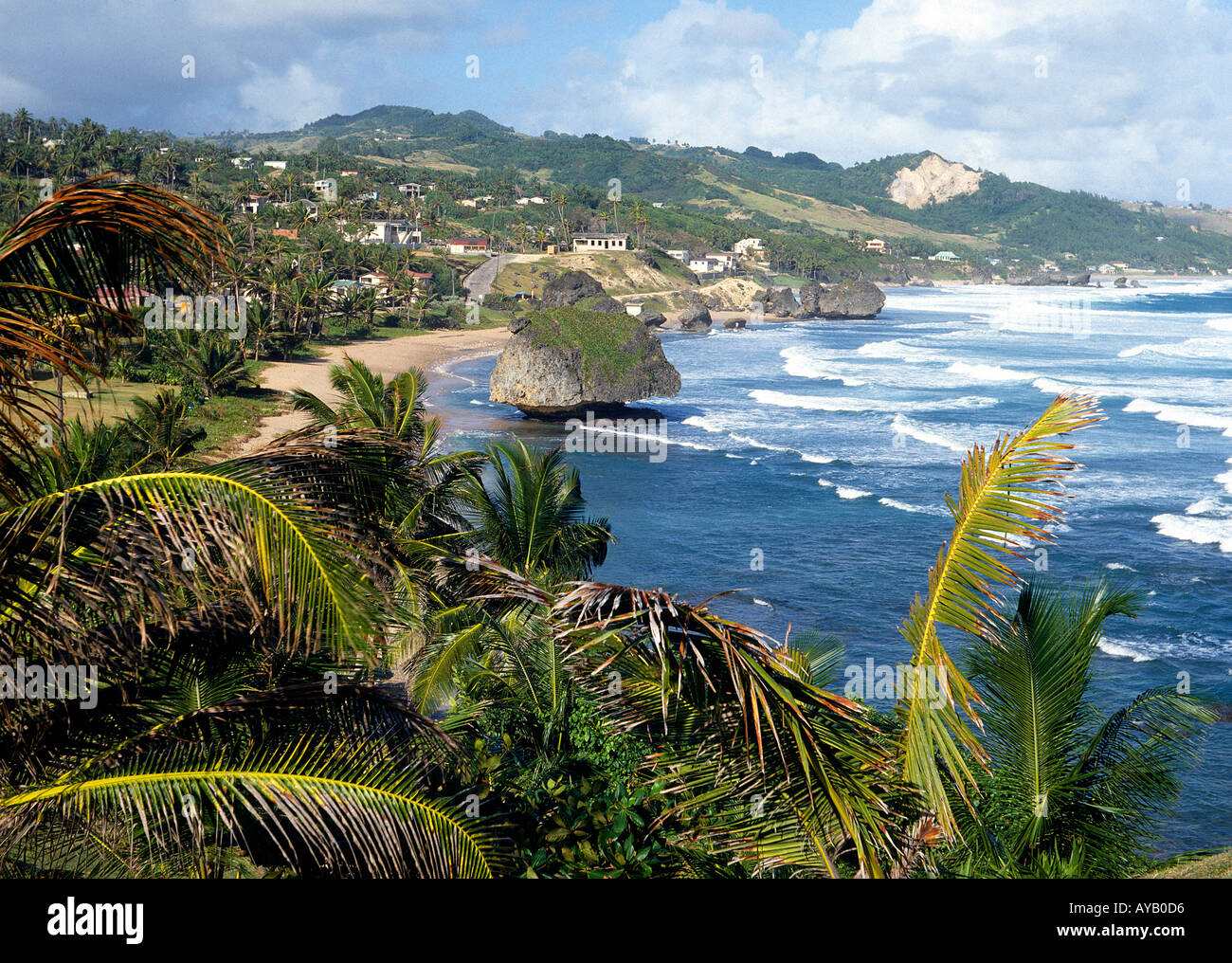 Barbados, The east coast beaches, strong big waves and rough sea, where ...