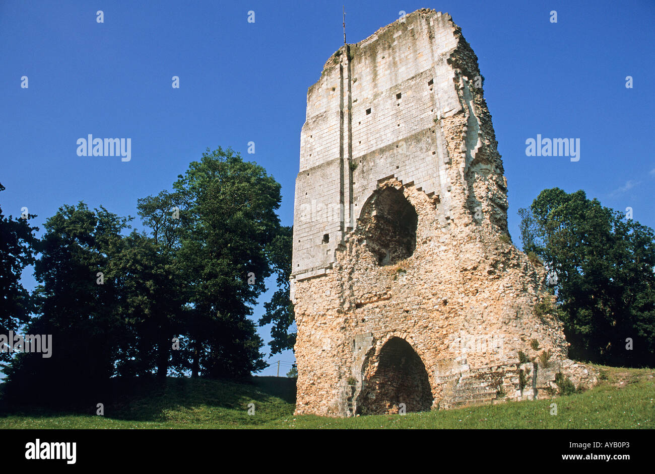 William duke of normandy hi-res stock photography and images - Alamy