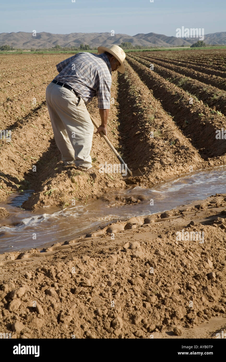 Yuma arizona farm hi-res stock photography and images - Alamy