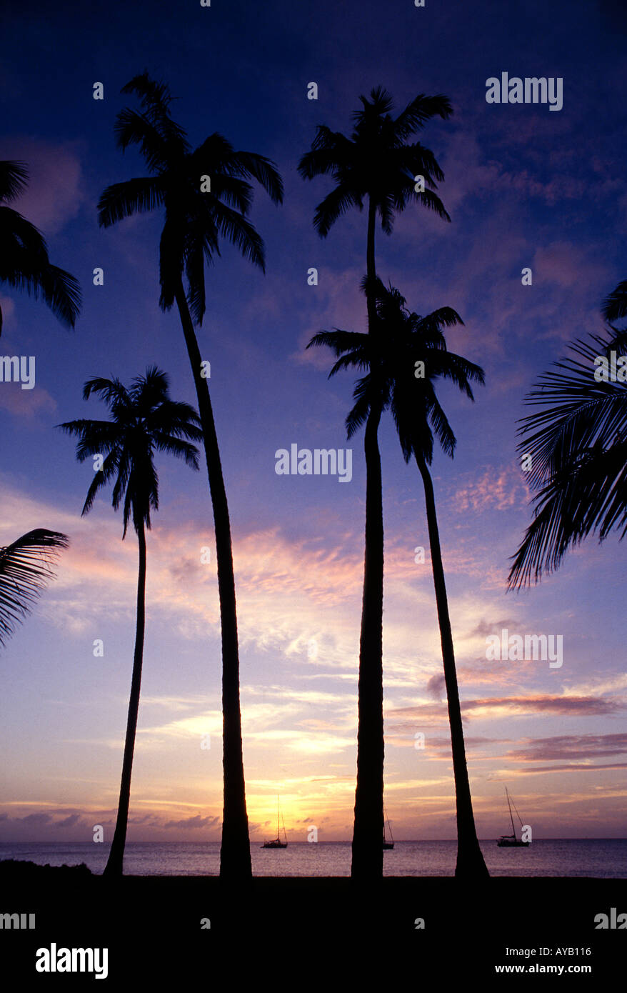 Pinney beach nevis hi-res stock photography and images - Alamy