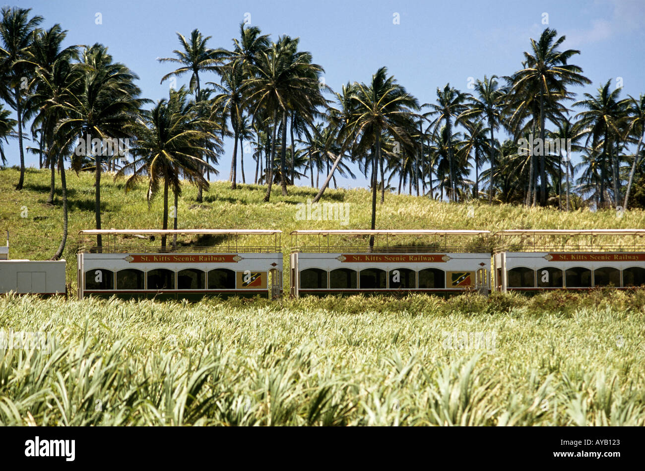 Sugarcane railway hi-res stock photography and images - Alamy