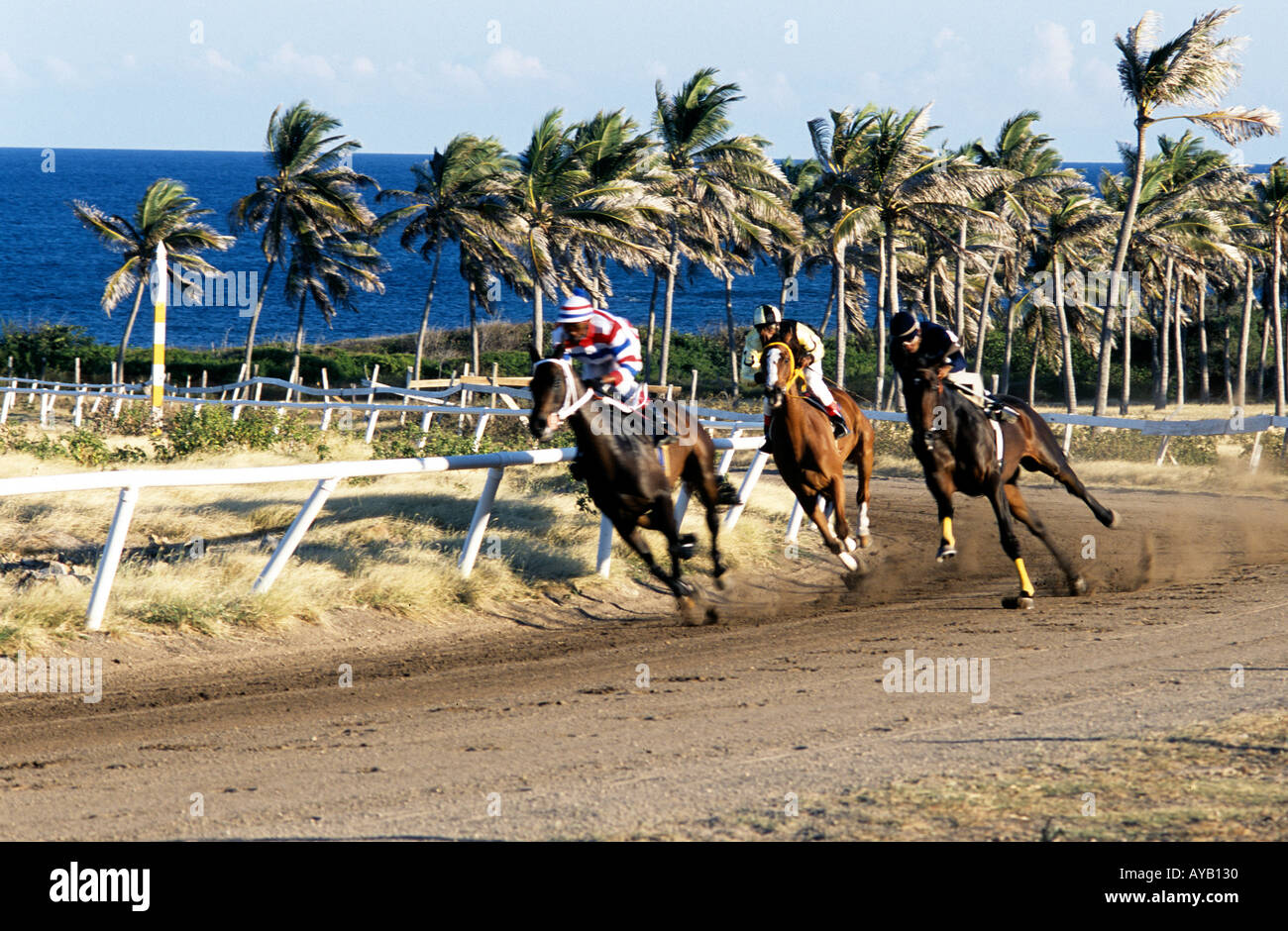 Nevis Caribbean Horse Races Stock Photo - Alamy
