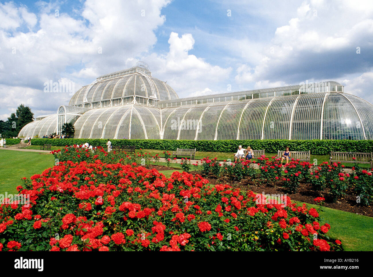 Flowers at Kew gardens and the Palmhouse West London Stock Photo - Alamy