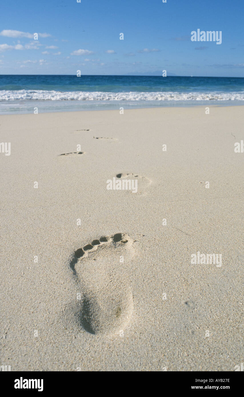 Footsteps in the sand Stock Photo - Alamy