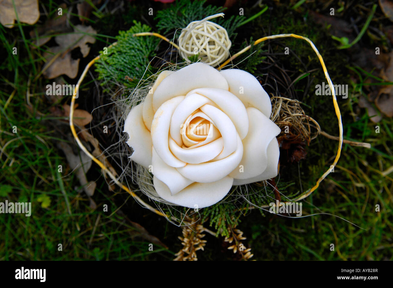 white rose dessicated candy sweet grass sugar fake false rodent teeth ...