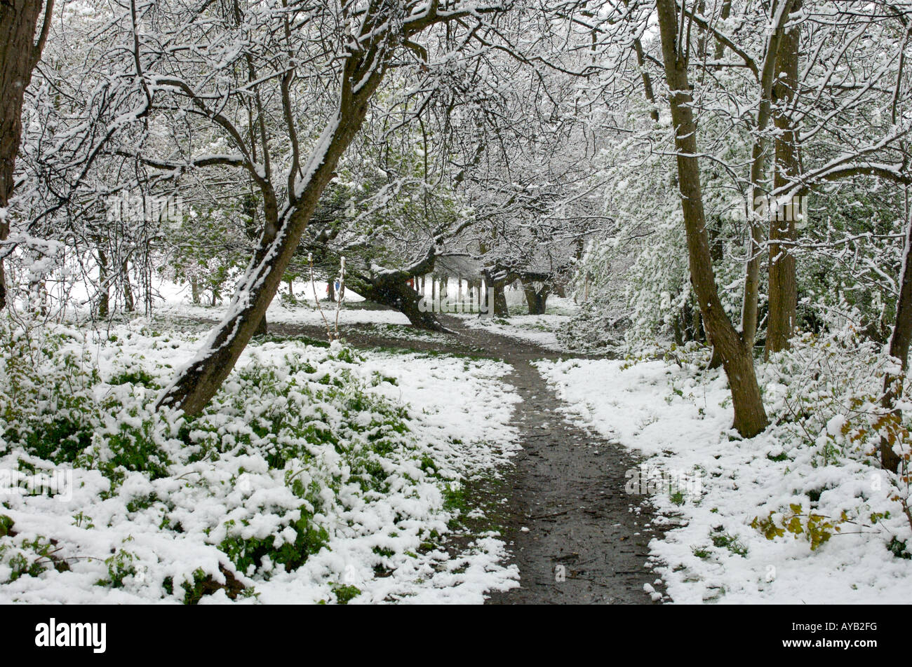 London and snow and beautiful hi-res stock photography and images - Alamy