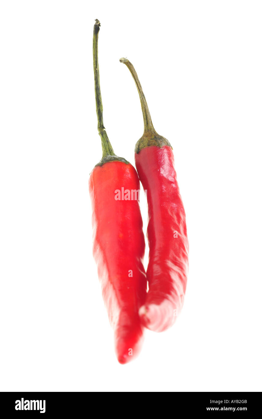 Advertising chillies hi-res stock photography and images - Alamy