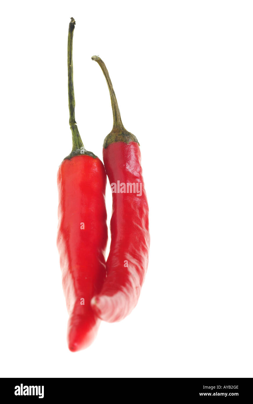 Advertising chillies hi-res stock photography and images - Alamy